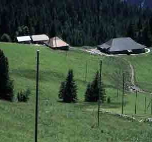 Inner-Iselten - alpkaese