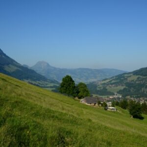 La Vatia d’Avau - alpkaese