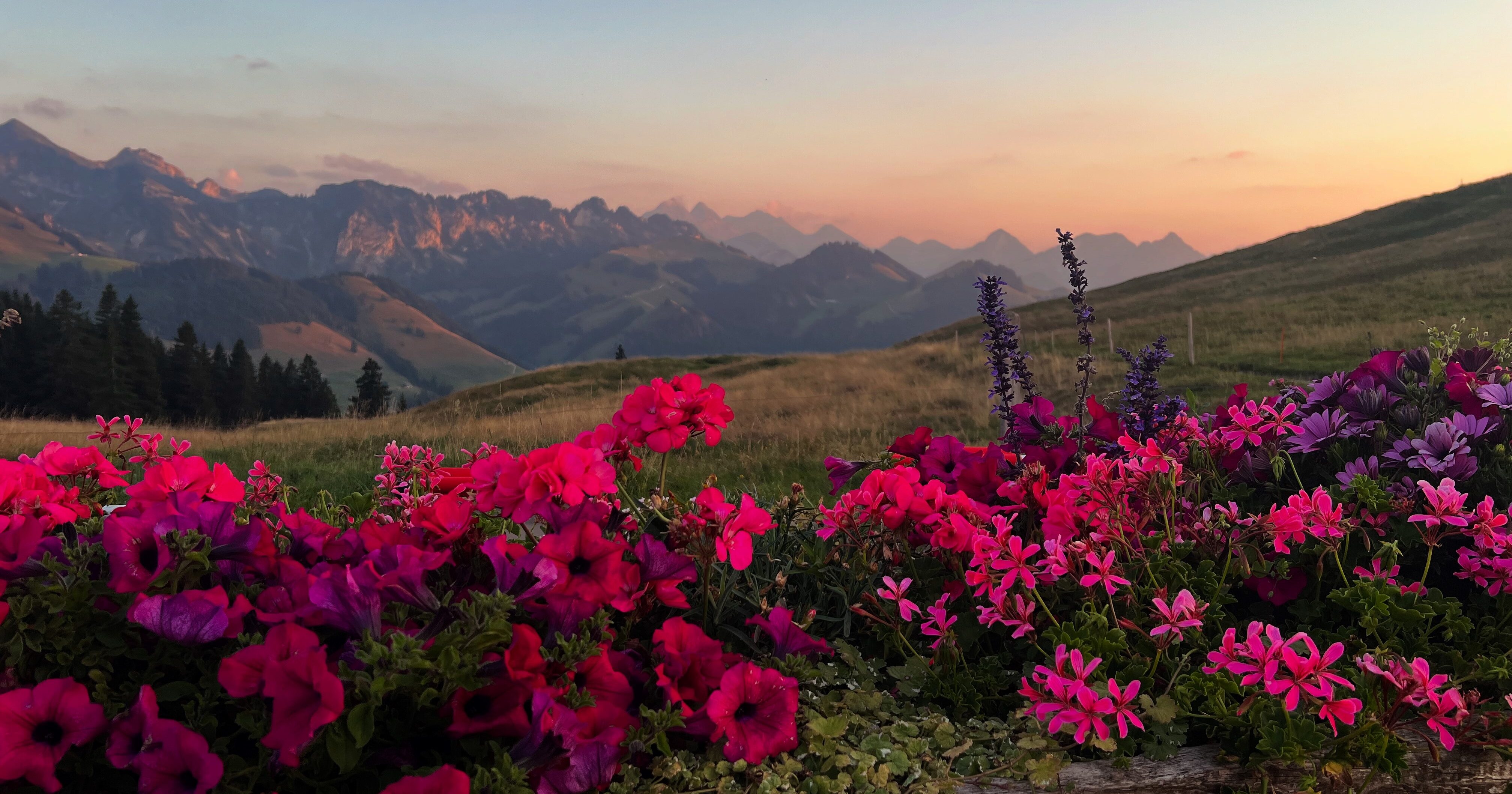 Ein Tag auf der Alp l’Hauta Chia